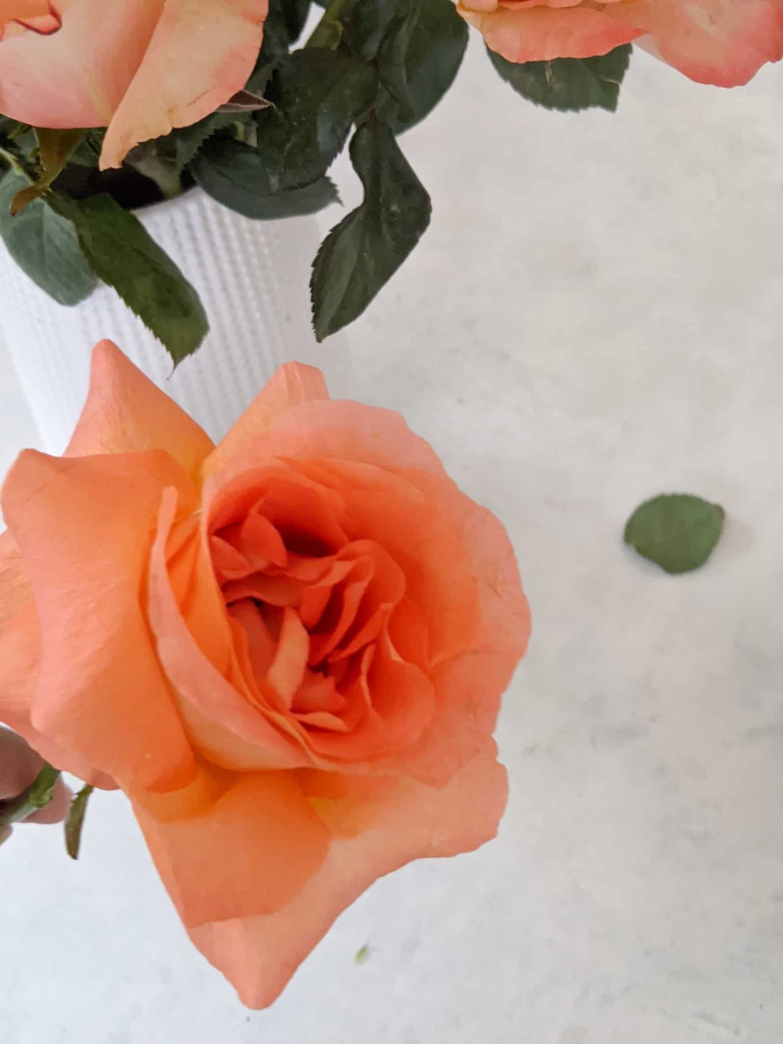How to Make Grocery Store Roses Look Expensive - Pure Happy Home