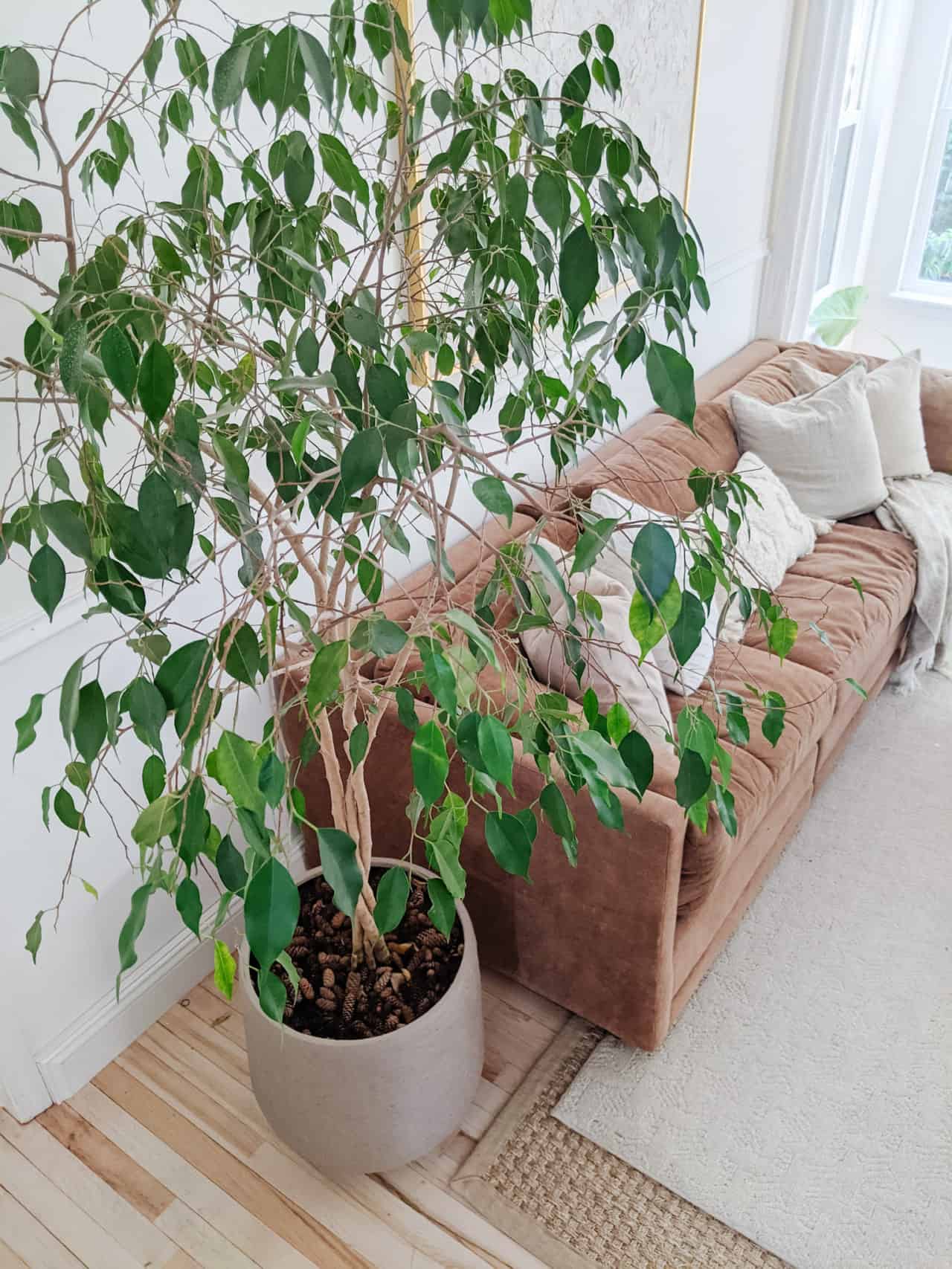 Pure Happy Home | Home Design, DIY & Family