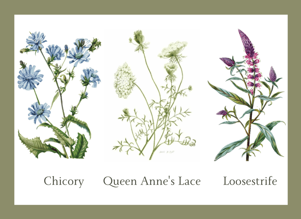 Memories of Gathering Wild Flower Bouquets - Pure Happy Home