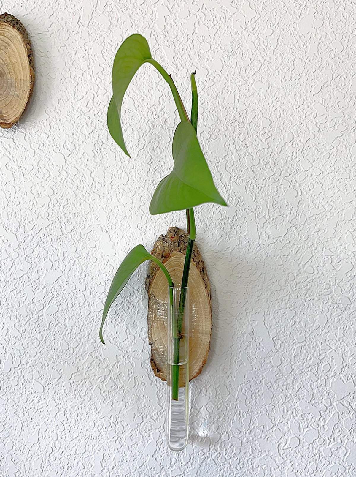 Create a Wood Slice Wall Bud Vase - Pure Happy Home