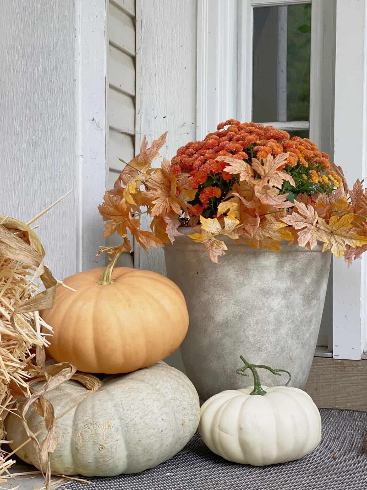 Turn Your Fall Front Porch Into a Pumpkin Patch - Pure Happy Home